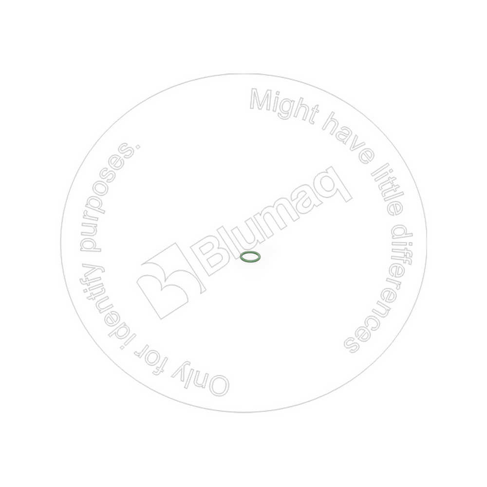 Купить Кольцо уплотнительное Part № 968007-BQ BLUMAQ в интернет ...